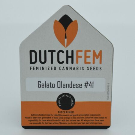 Zkittlez Cupcake Candy - Dutchfem