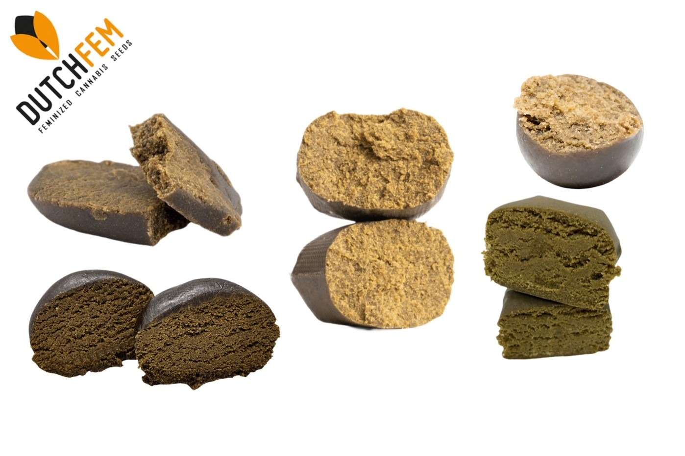 Guide to Making Ice Hash (Ice-O-Lator) - Dutchfem