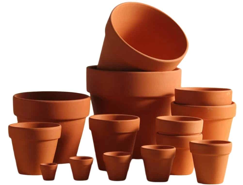 What are the Best Pots to Grow Cannabis? - Dutchfem